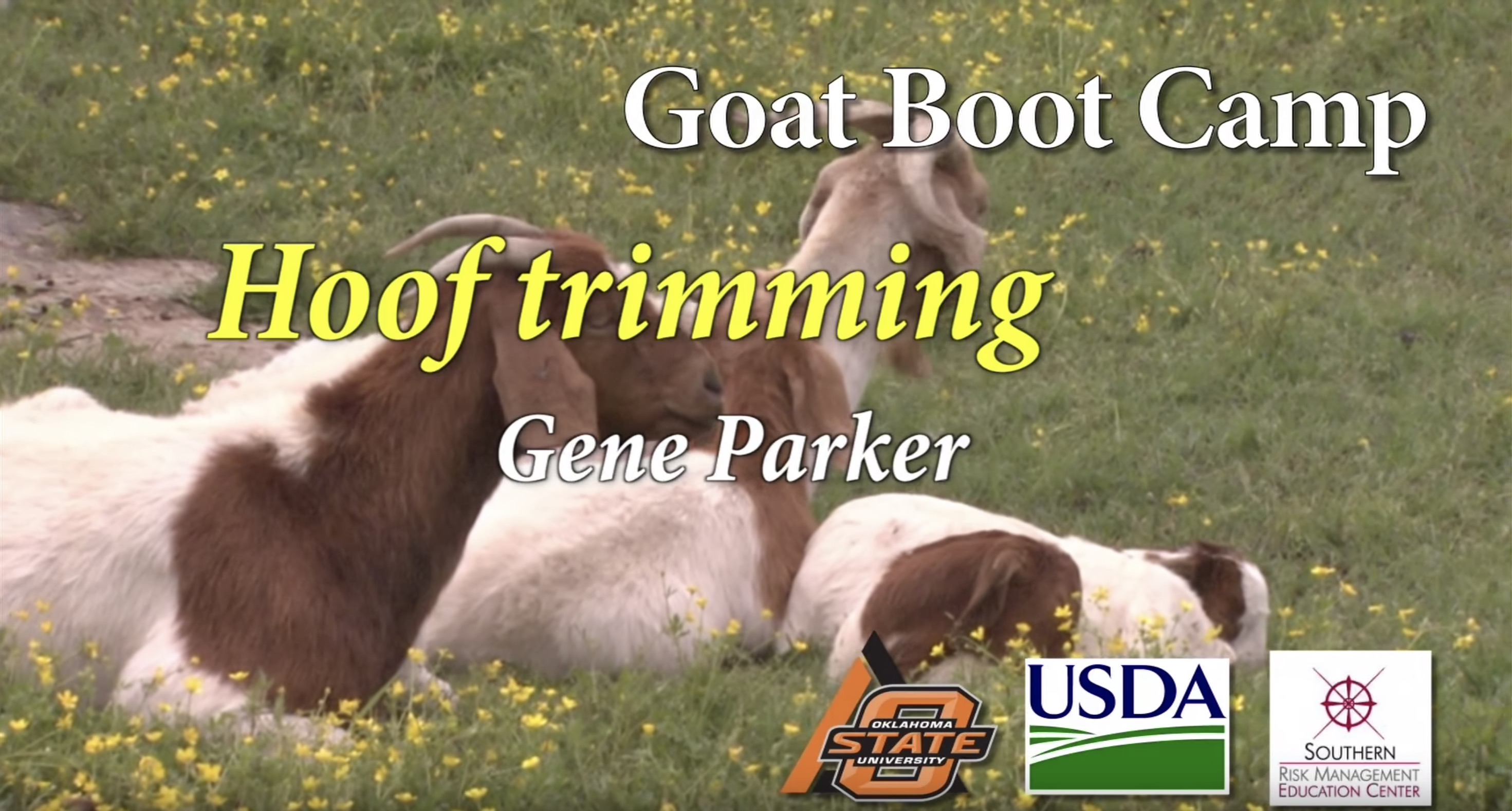 Goat Hoof Trimming - video 2 - Mandalay Farms | Jupiter, FL | Mandalay ...